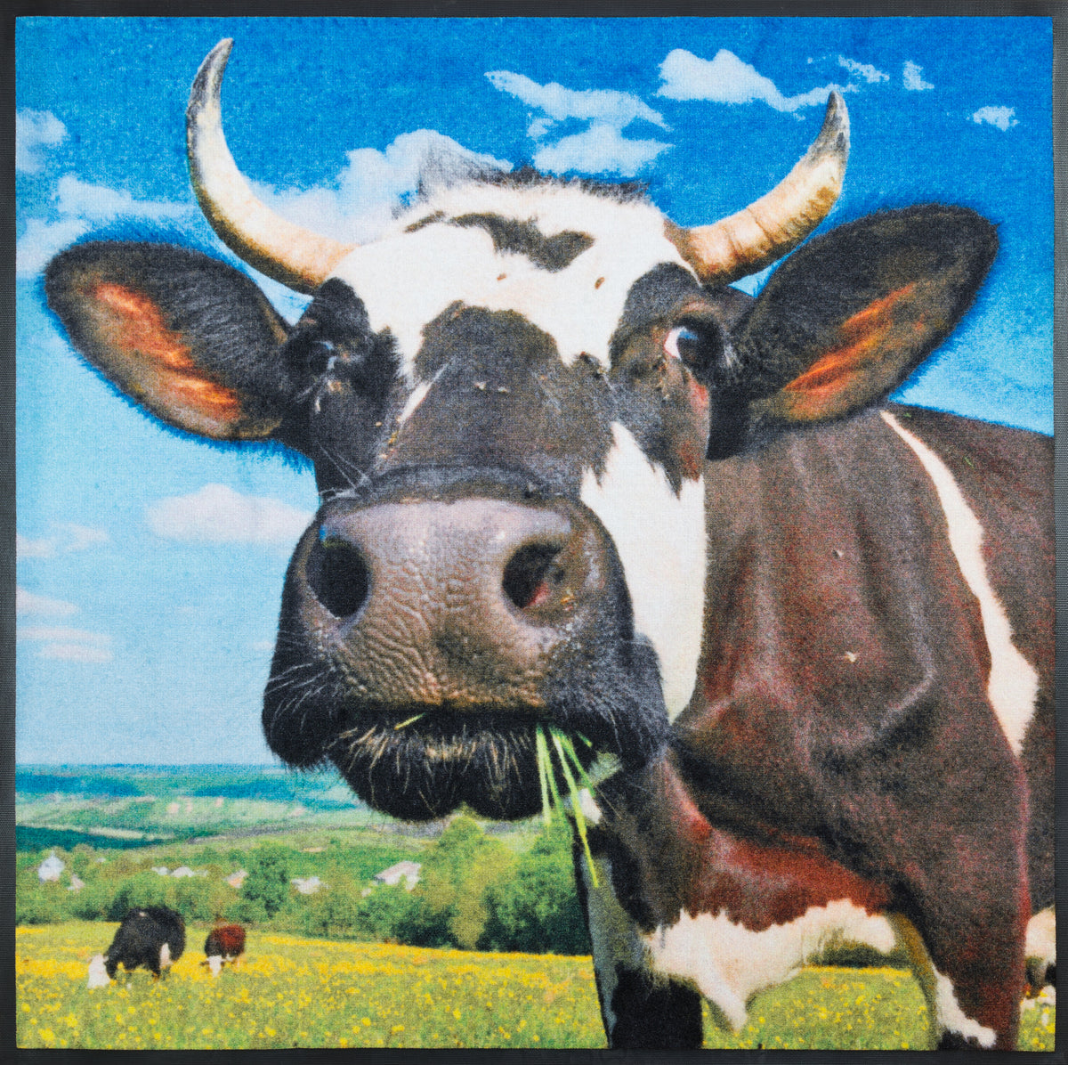 Jet-Print Velour – Ginger Mats